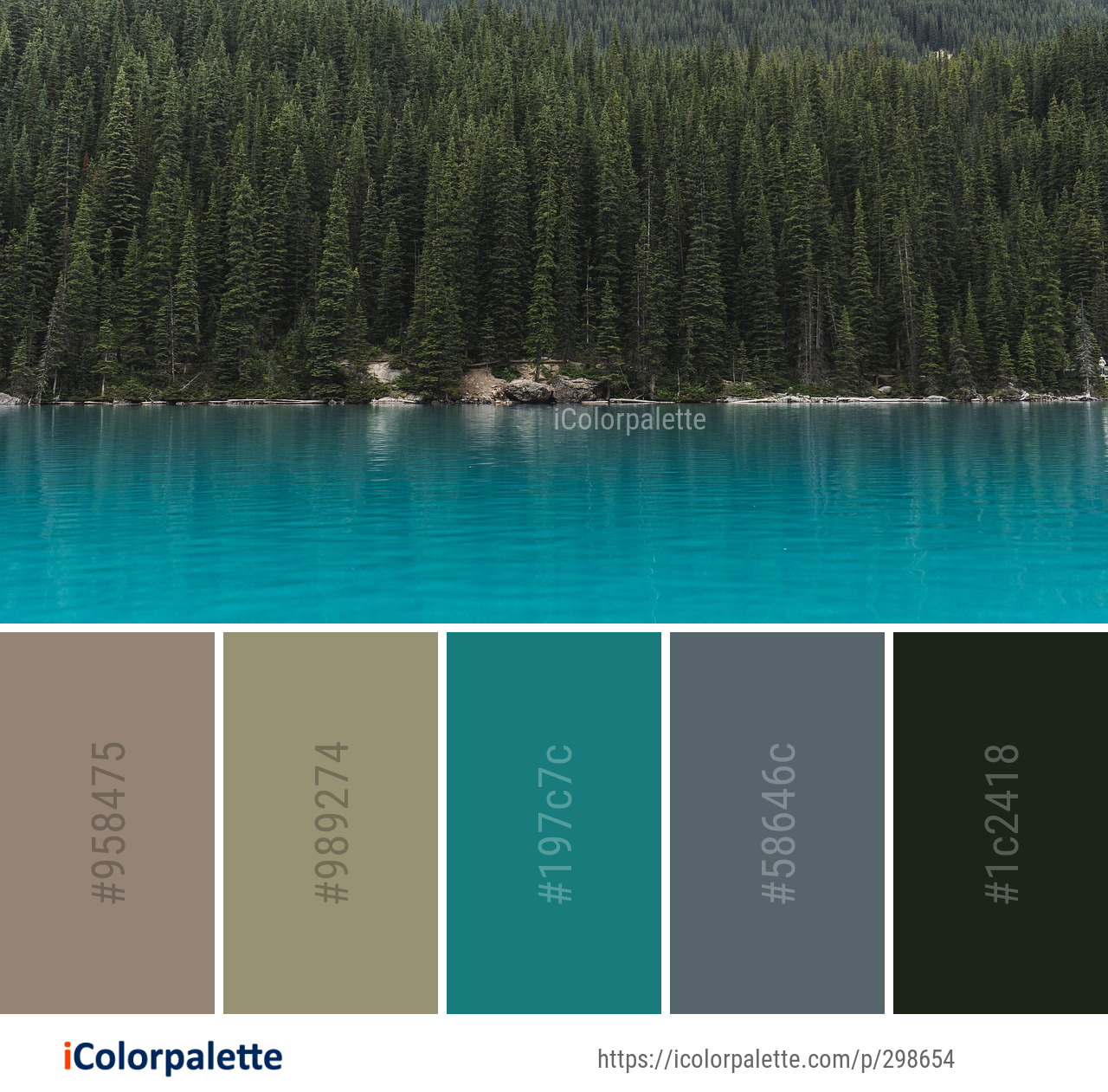 Color Palette Ideas from Water Nature Ecosystem Image | iColorpalette