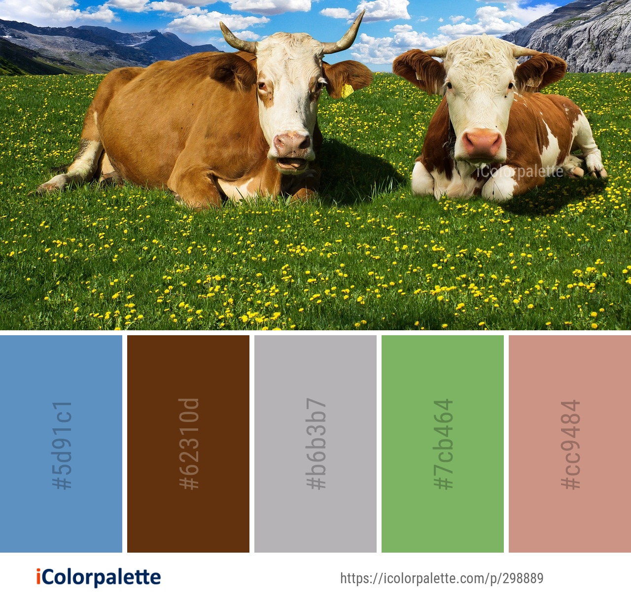 Color Palette Ideas from Grassland Cattle Like Mammal Pasture Image ...
