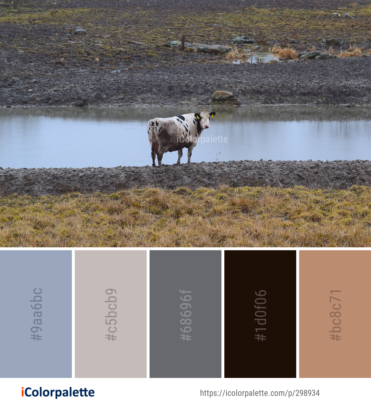 Color Palette Ideas from Cattle Like Mammal Pasture Wildlife Image ...