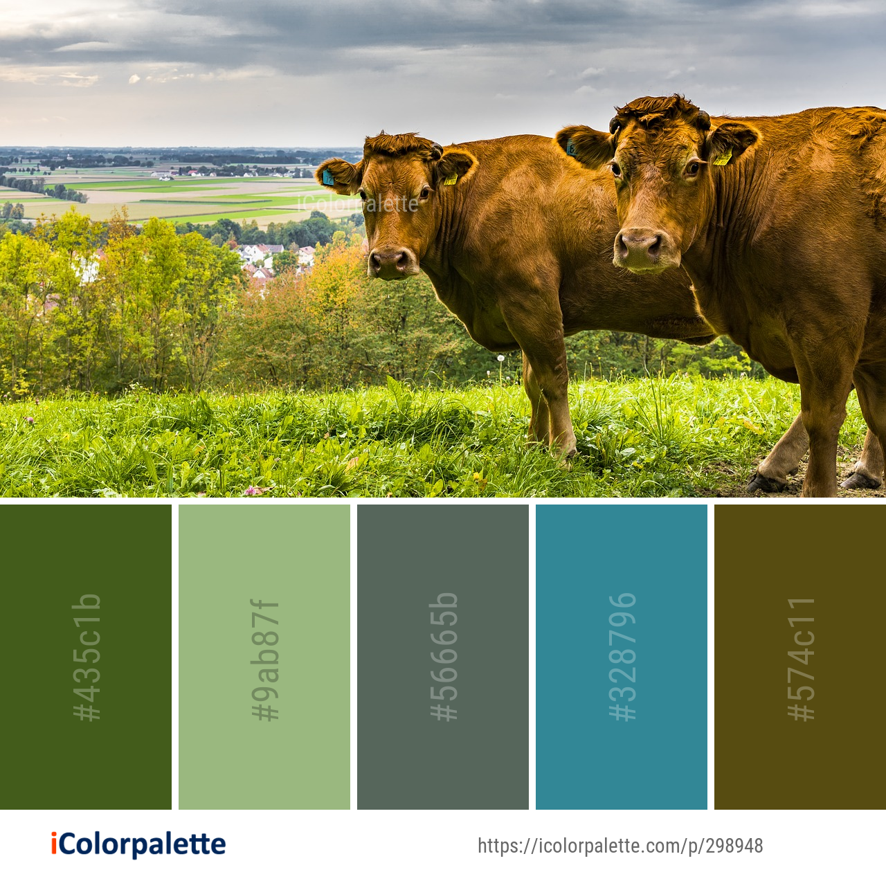 Color Palette Ideas from Cattle Like Mammal Pasture Fauna Image ...