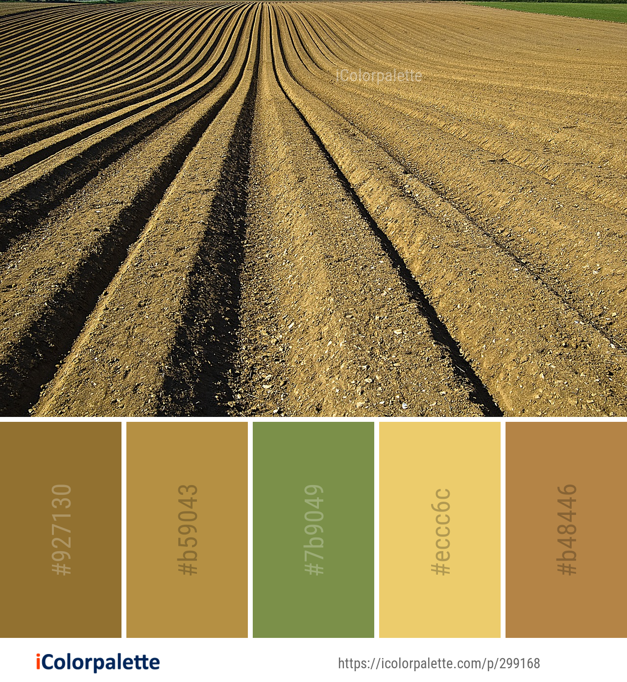 Color Palette Ideas from Field Soil Sky Image | iColorpalette