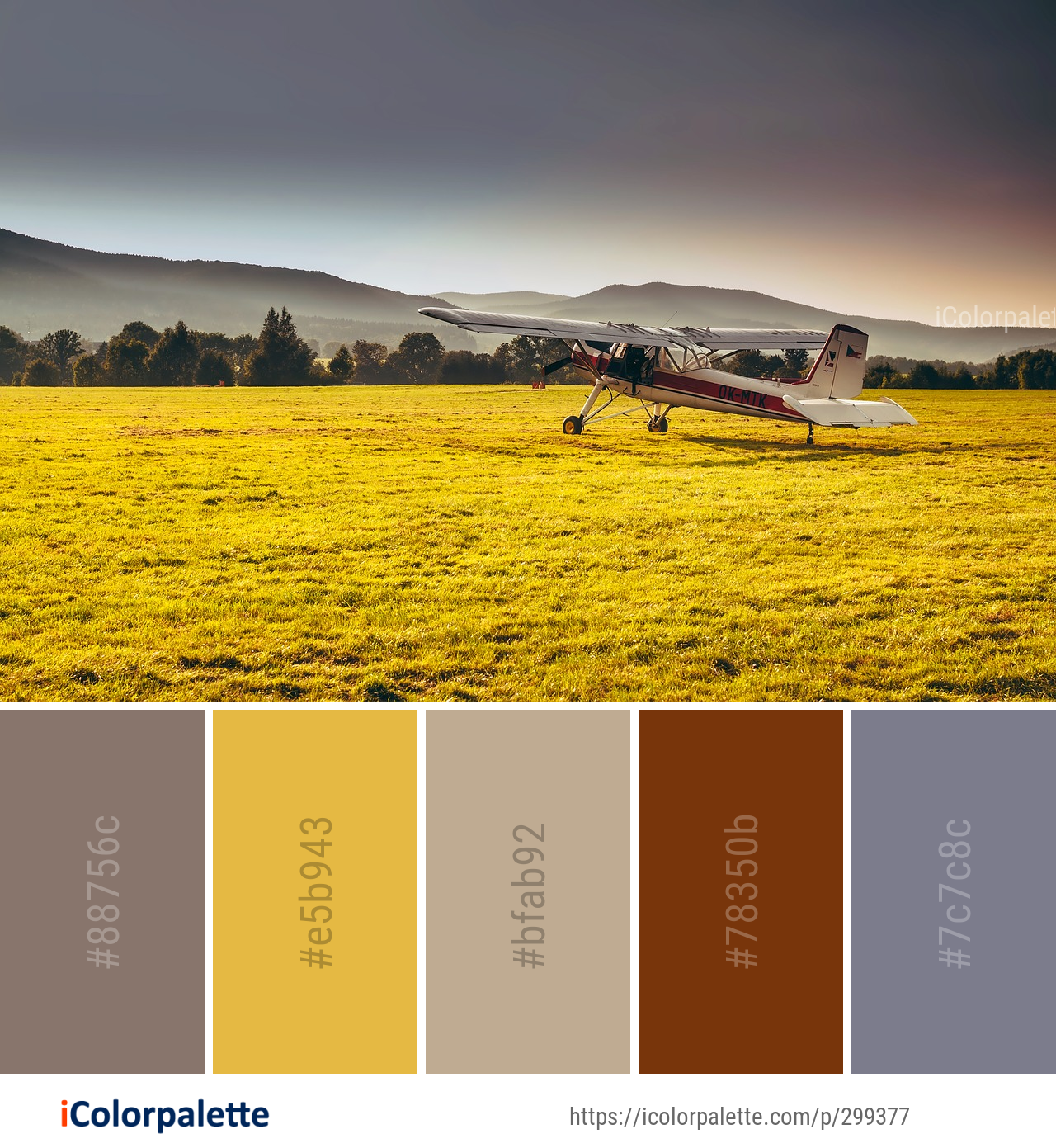 Color Palette Ideas from Yellow Field Grassland Image | iColorpalette