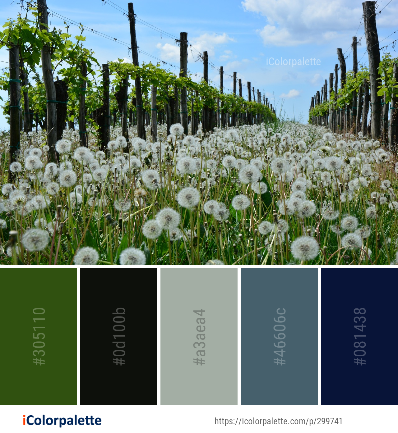 Color Palette Ideas from Field Flower Plant Image | iColorpalette