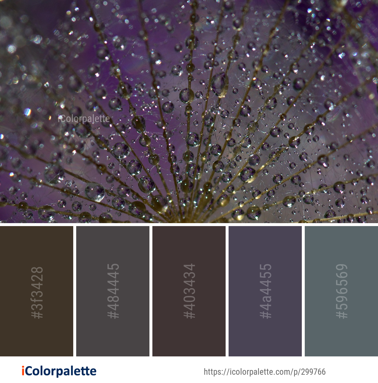 11 Rain Color Palette ideas in 2025 | iColorpalette