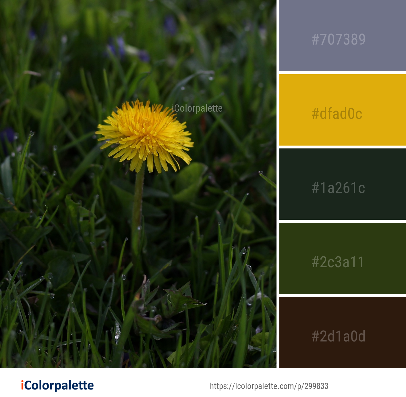 Color Palette Ideas from Flower Dandelion Flora Image | iColorPalette