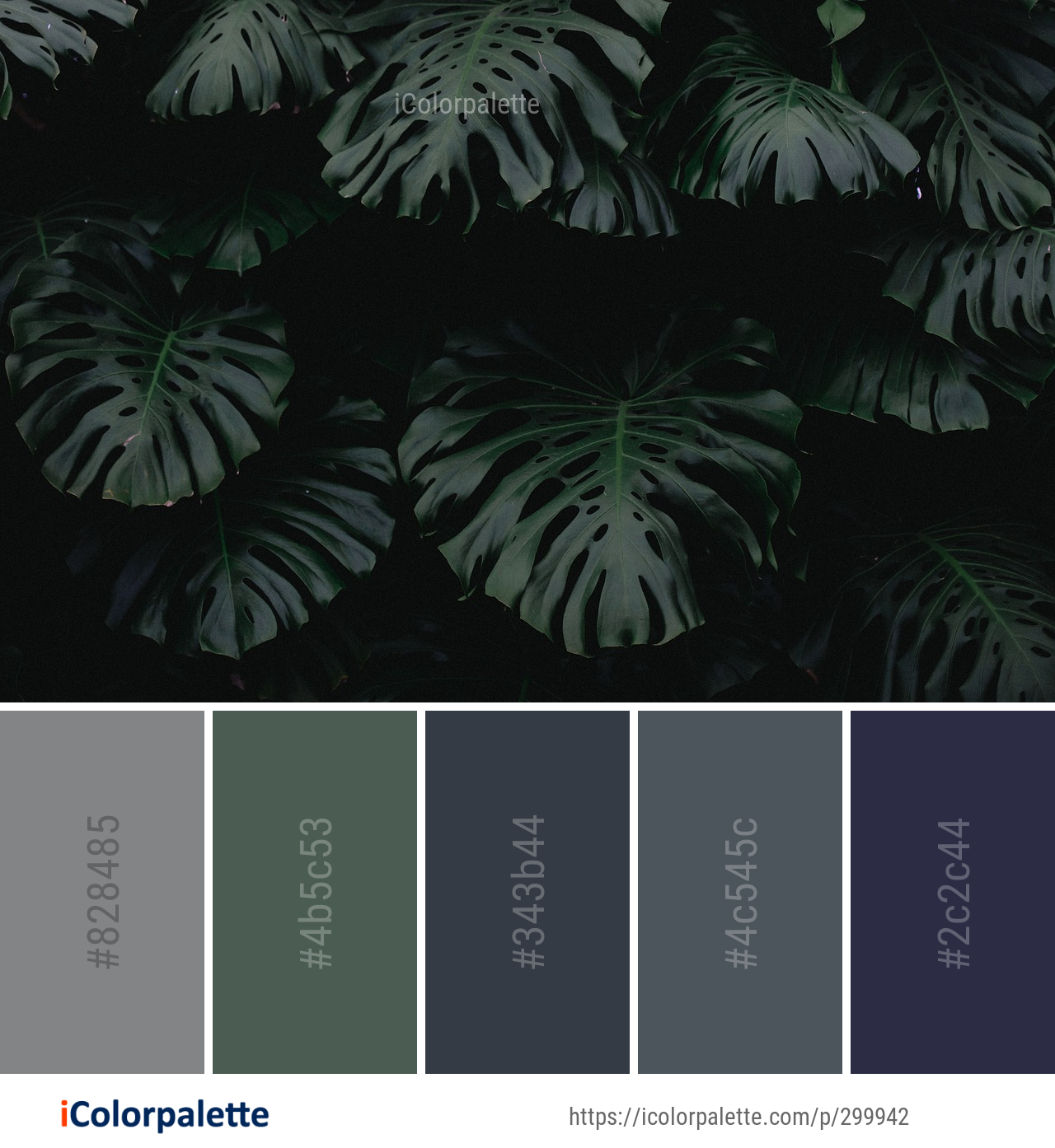 Color Palette Ideas from Leaf Vegetation Flora Image | iColorpalette