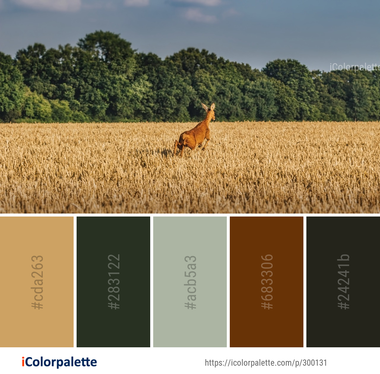 Color Palette Ideas from Field Grass Family Crop Image | iColorPalette