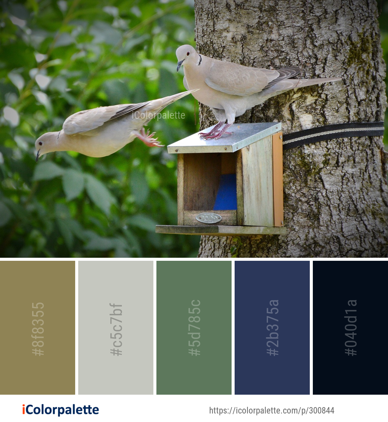 22 Bird Feeder Color Palette ideas in 2025 | iColorpalette