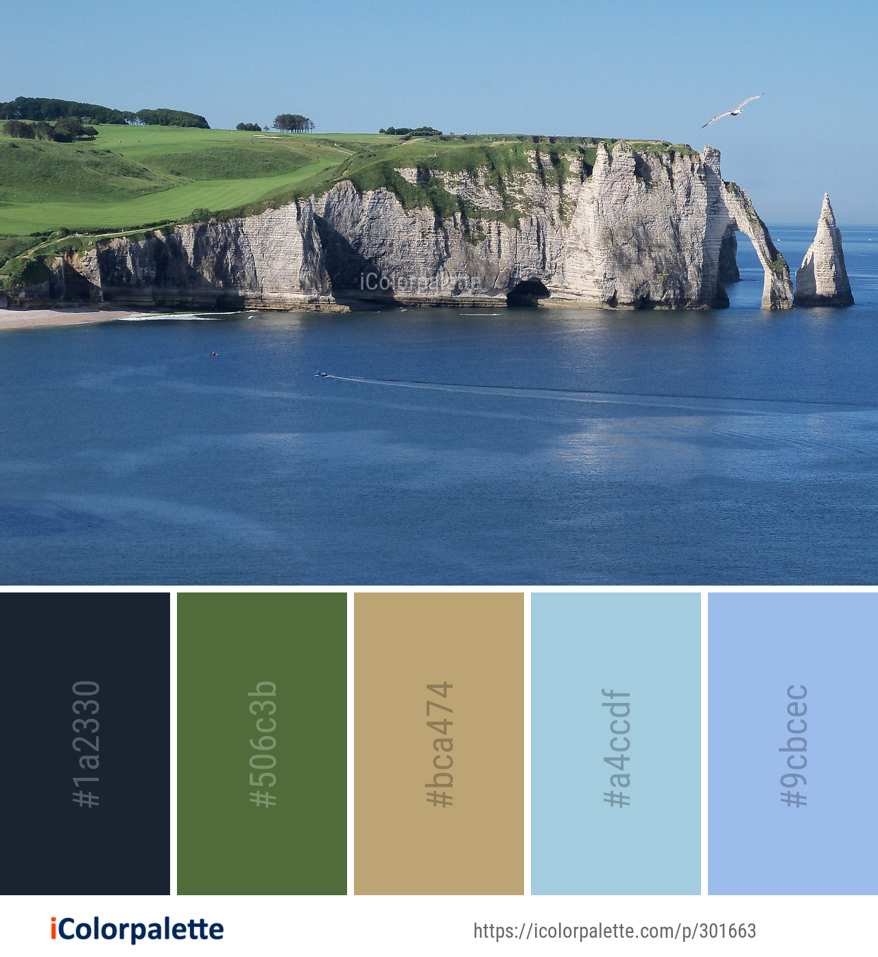 Color Palette Ideas from Coast Cliff Coastal And Oceanic Landforms ...