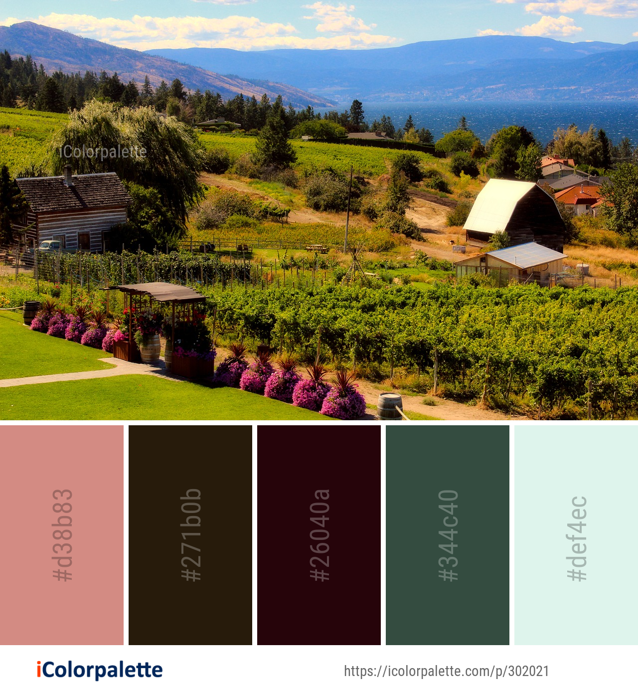 Color Palette Ideas from Nature Field Farm Image | iColorpalette