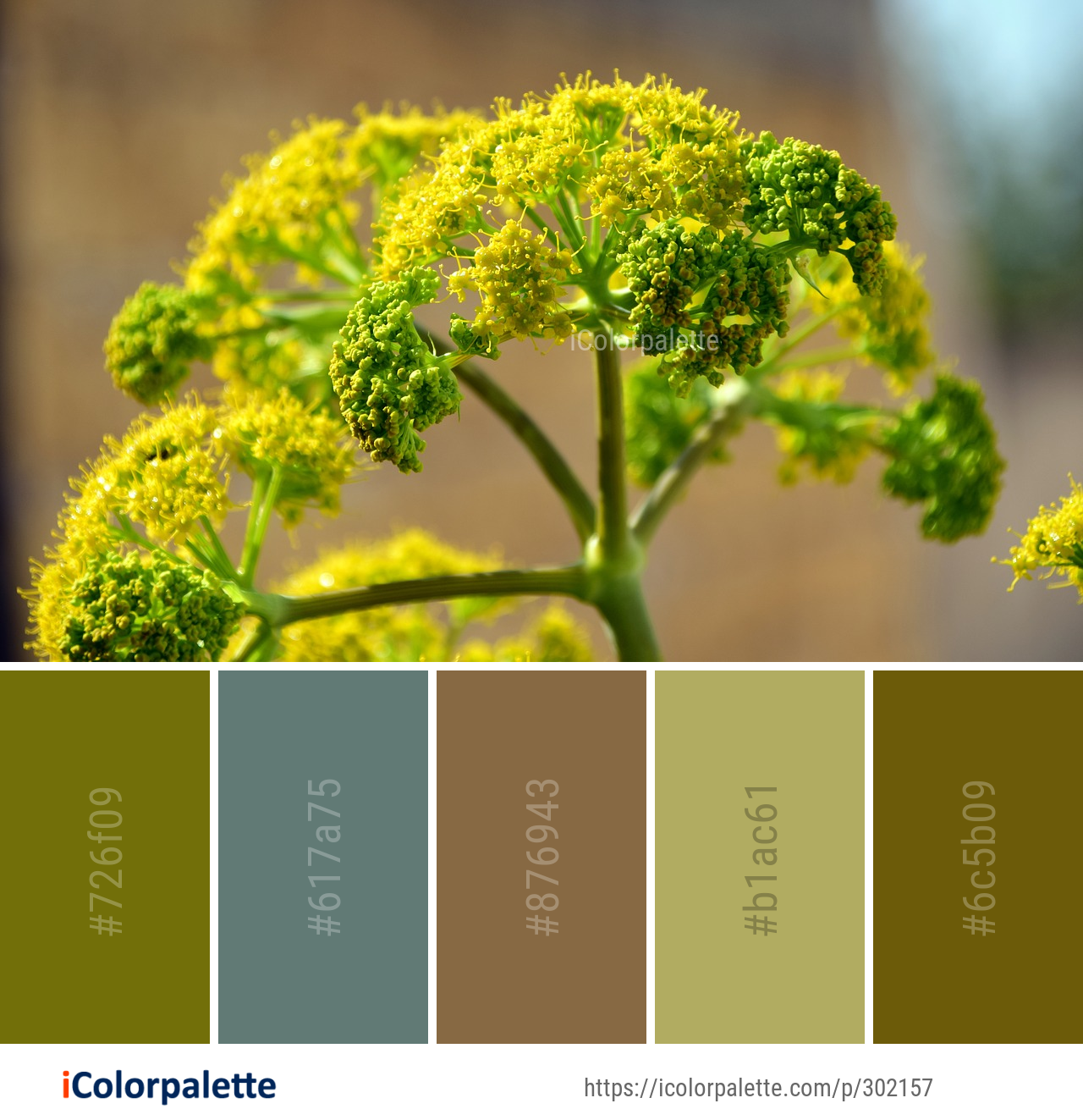 Color Palette Ideas from Yellow Flora Plant Image | iColorpalette