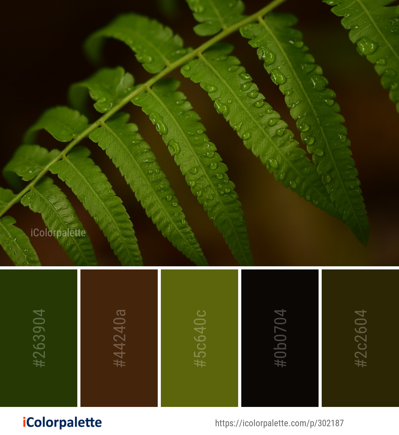 Color Palette Ideas from Leaf Vegetation Plant Image | iColorpalette