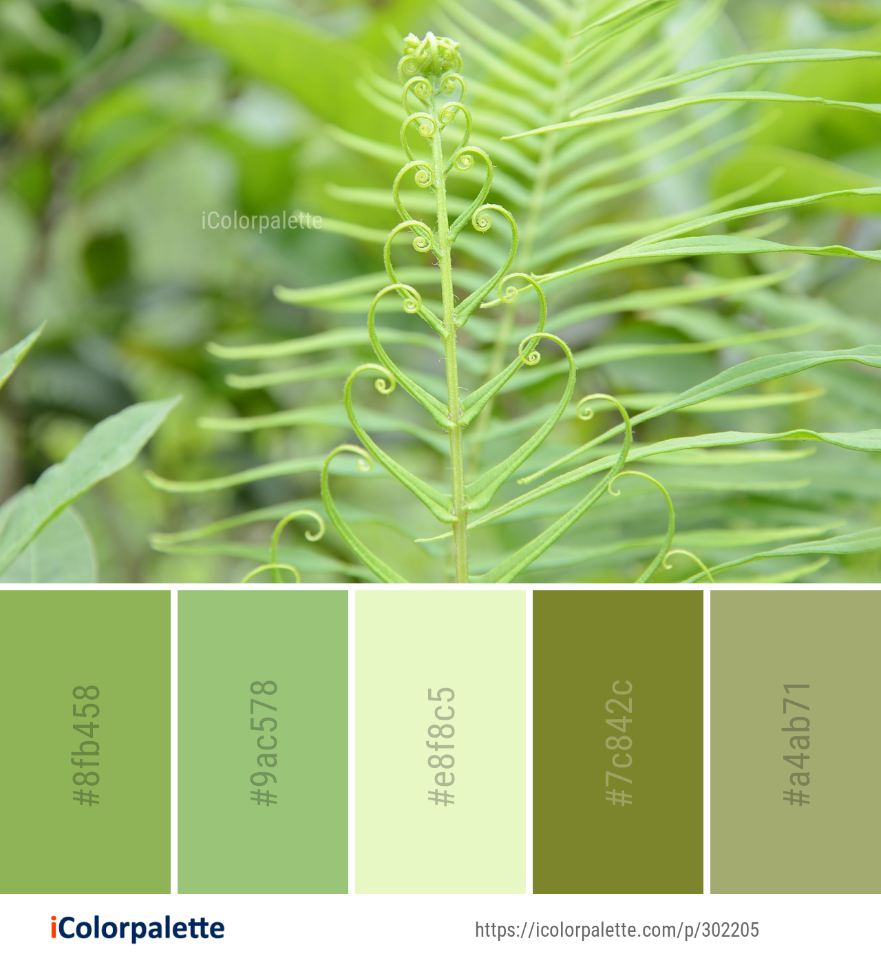 Color Palette Ideas from Plant Leaf Stem Image | iColorpalette