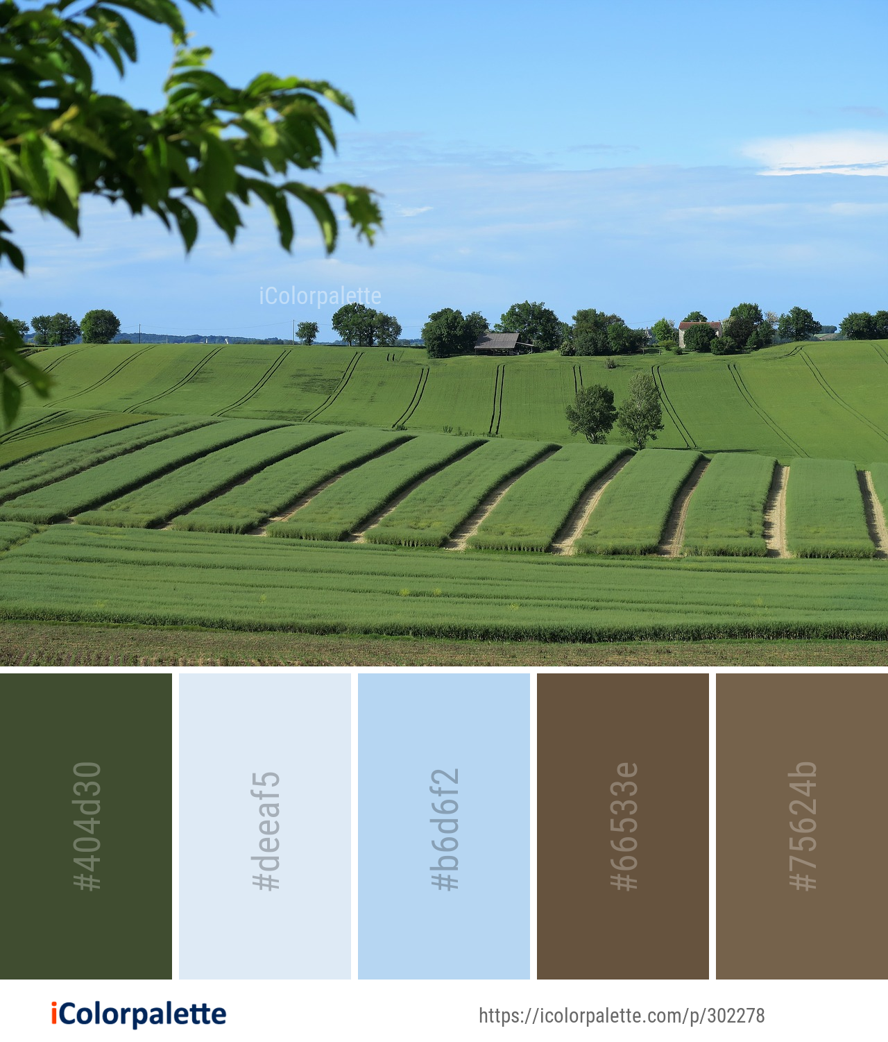 Color Palette Ideas from Field Green Grassland Image | iColorpalette