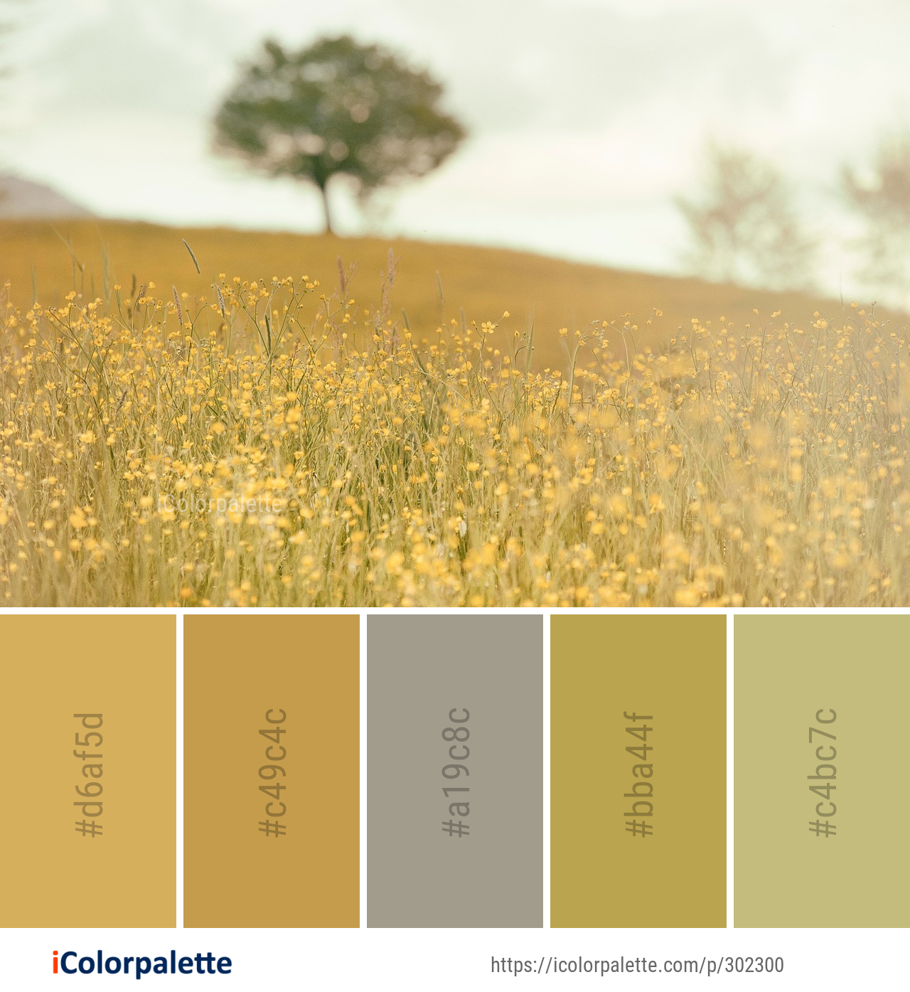 Color Palette Ideas from Yellow Ecosystem Field Image | iColorpalette