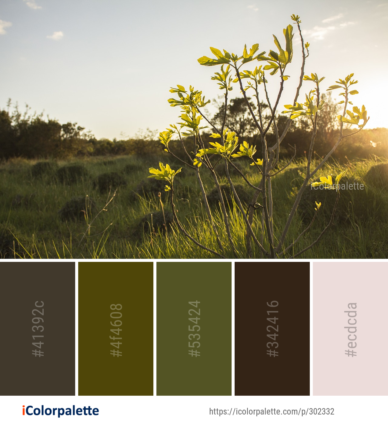 Color Palette Ideas from Yellow Ecosystem Vegetation Image | iColorpalette