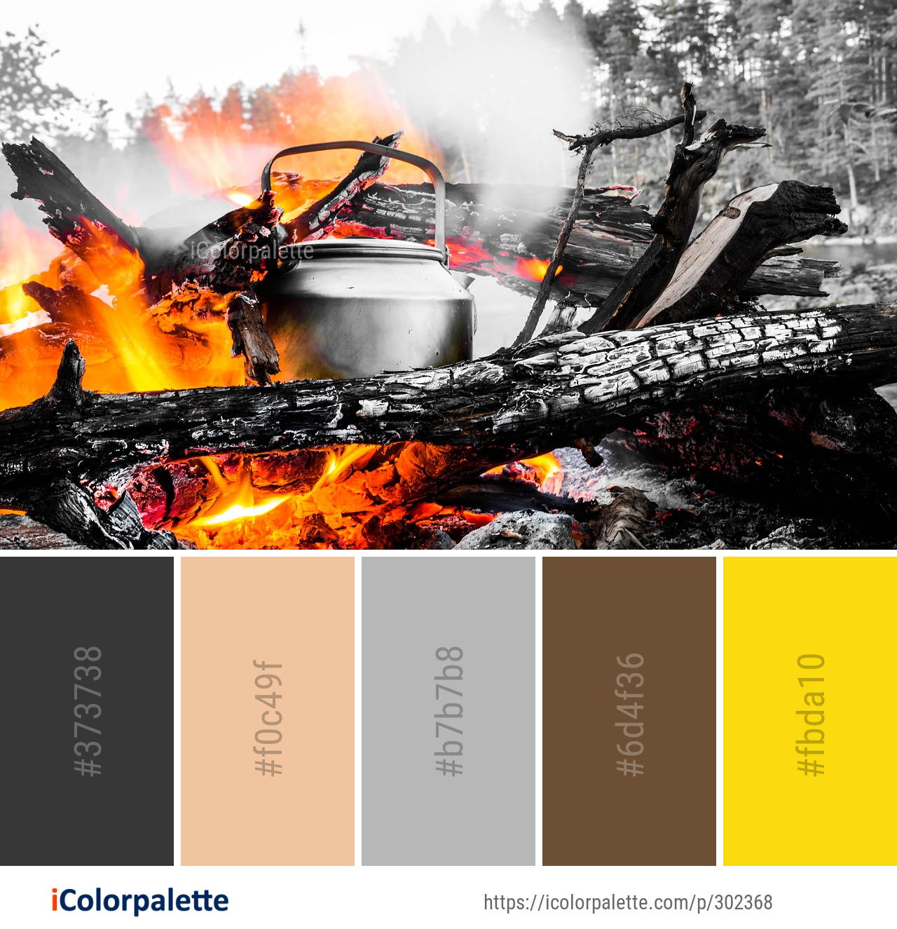 31+ Fire Color Palette ideas in 2025 | iColorPalette