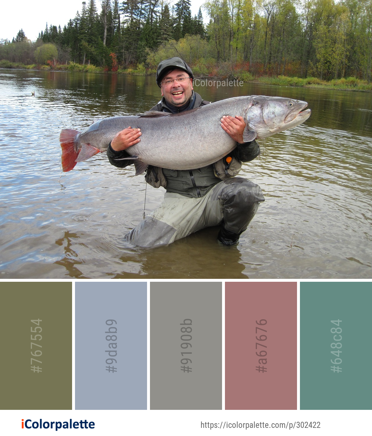 Color Palette Ideas from Salmon Coho Recreational Fishing Image ...