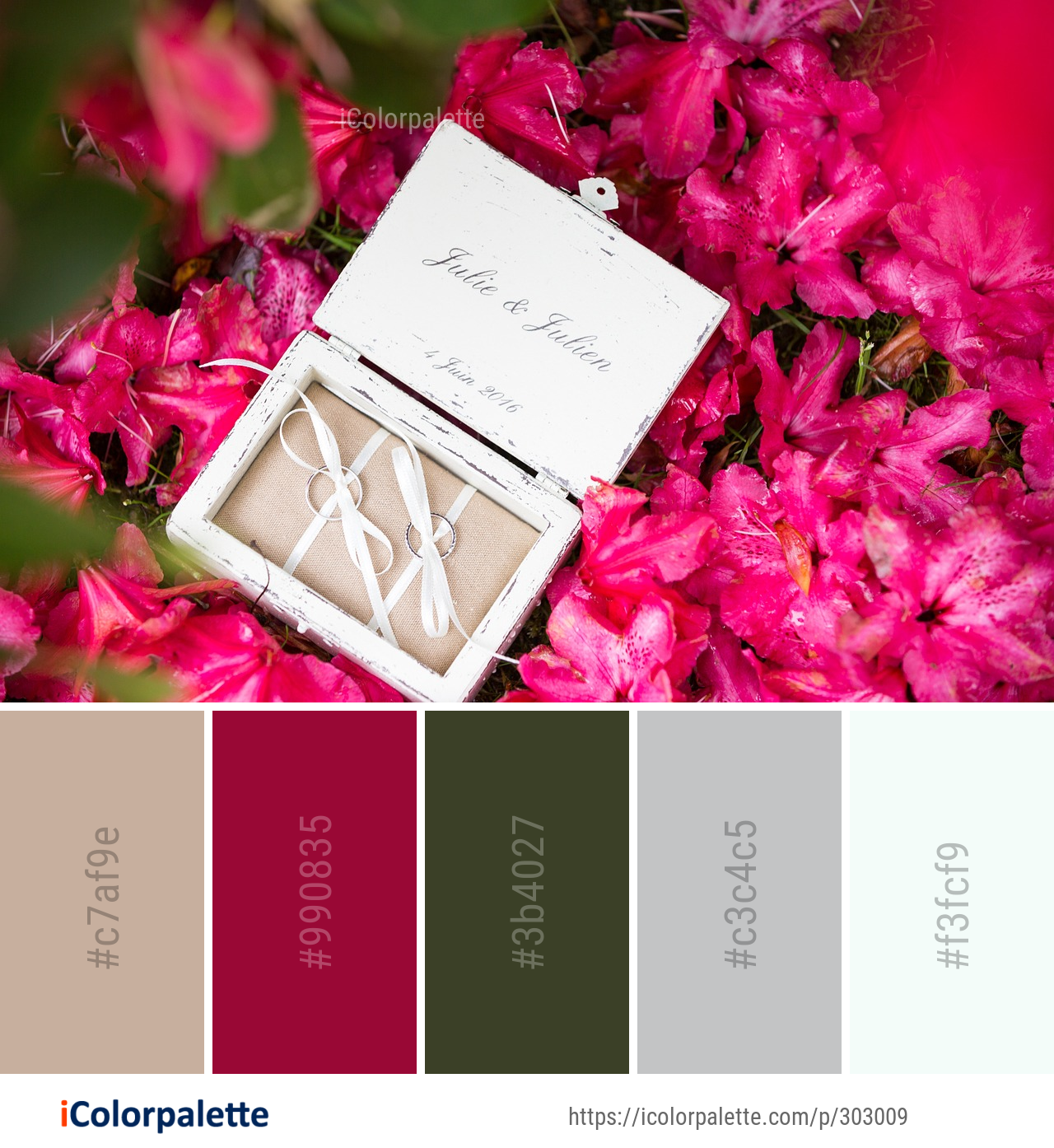 Color Palette Ideas from Pink Flower Rose Image | iColorpalette