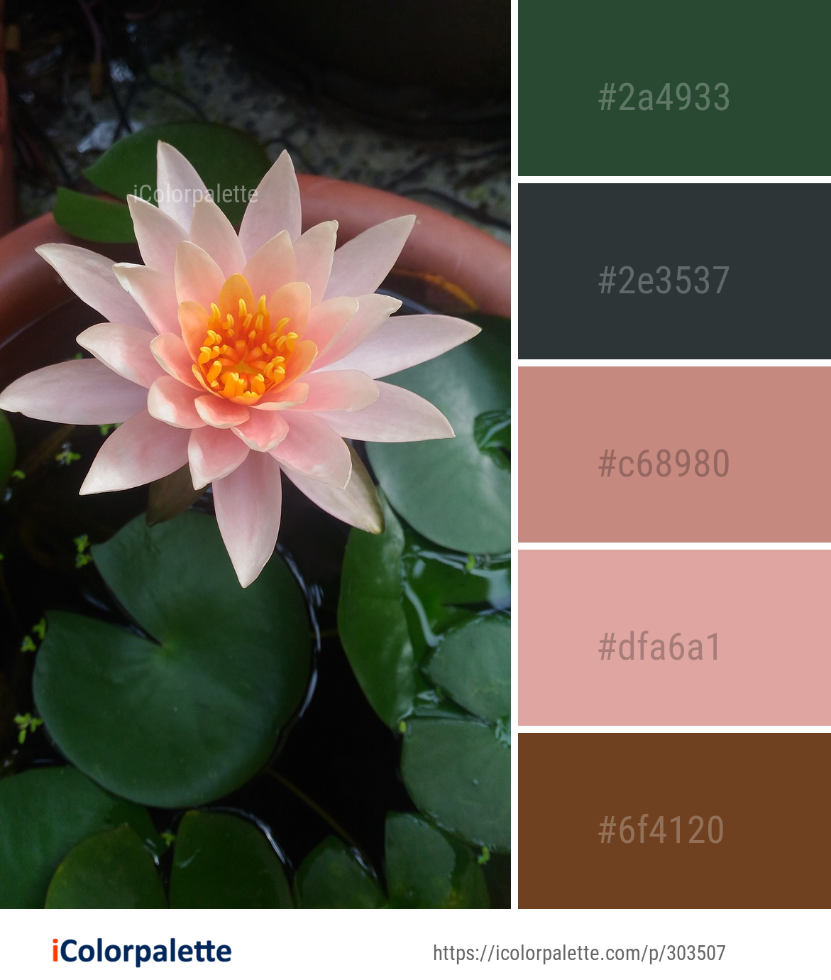 Color Palette Ideas from Flower Plant Flora Image | iColorpalette