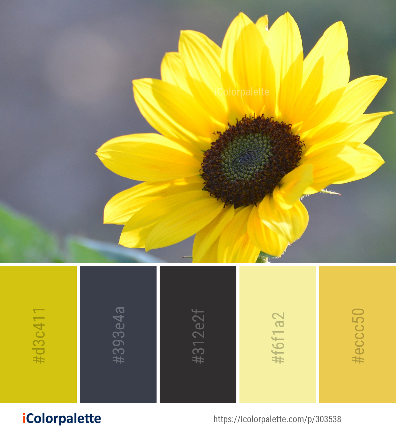 Color Palette Ideas from Flower Sunflower Yellow Image | iColorpalette