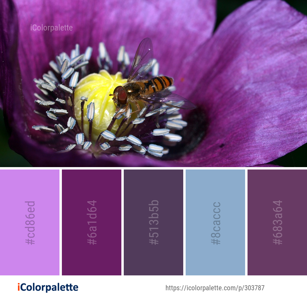Color Palette Ideas from Flower Bee Honey Image | iColorpalette