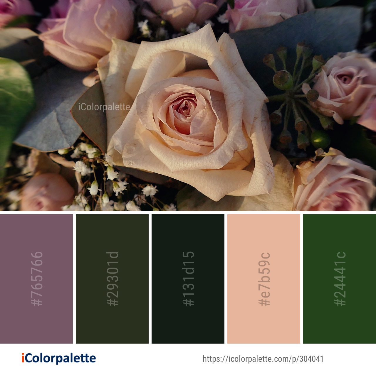 Color Palette Ideas from Flower Rose Family Image | iColorpalette