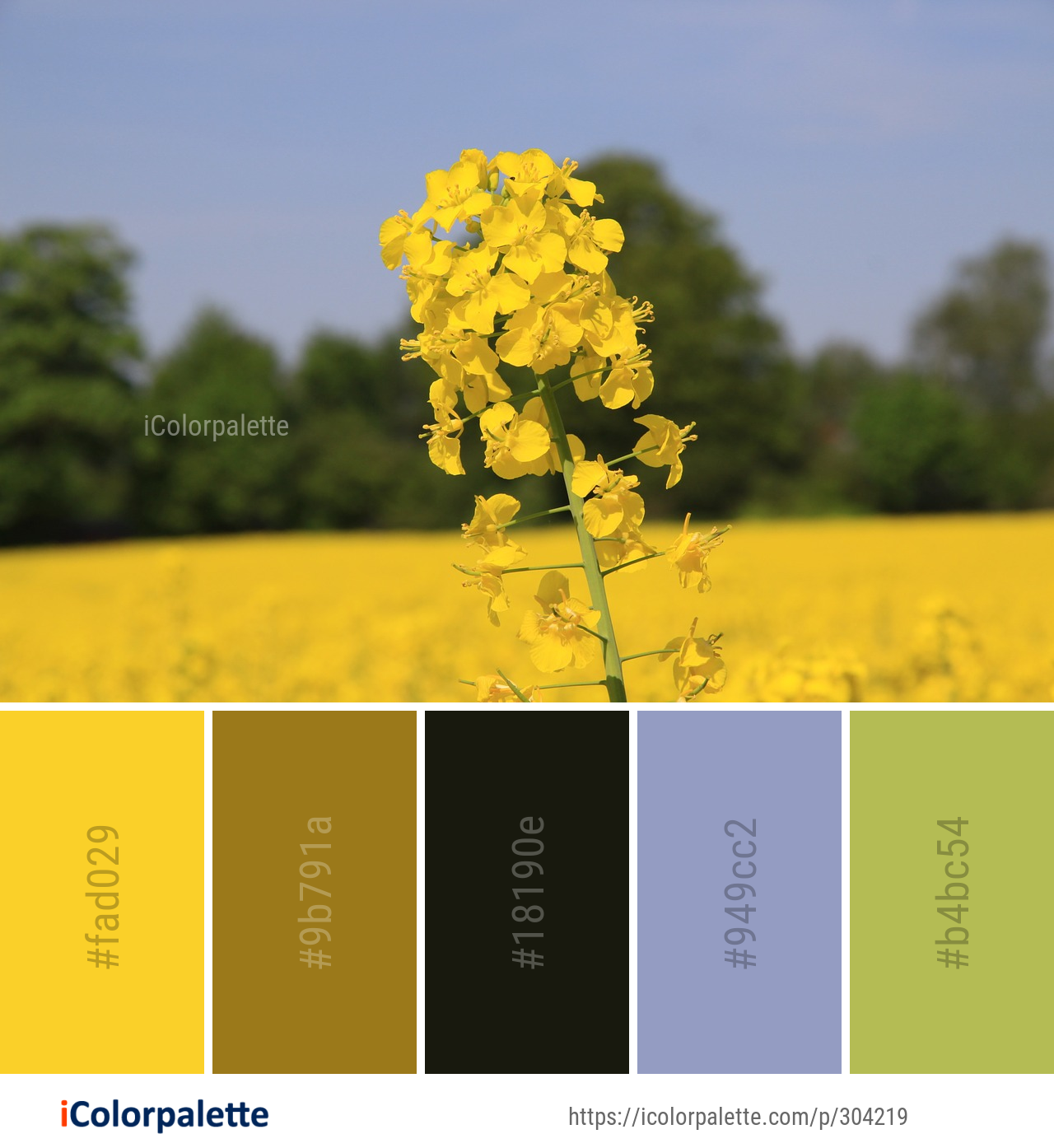 20+ Mustard Color Palette ideas in 2025 | iColorPalette