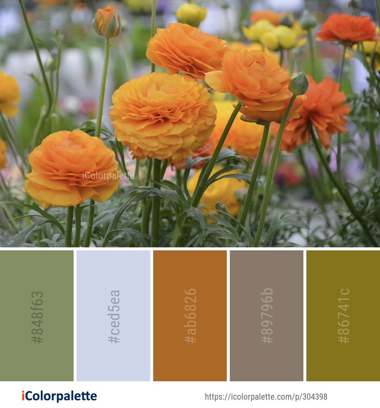 Color Palette Ideas from Flower Orange Wildflower Image | iColorpalette