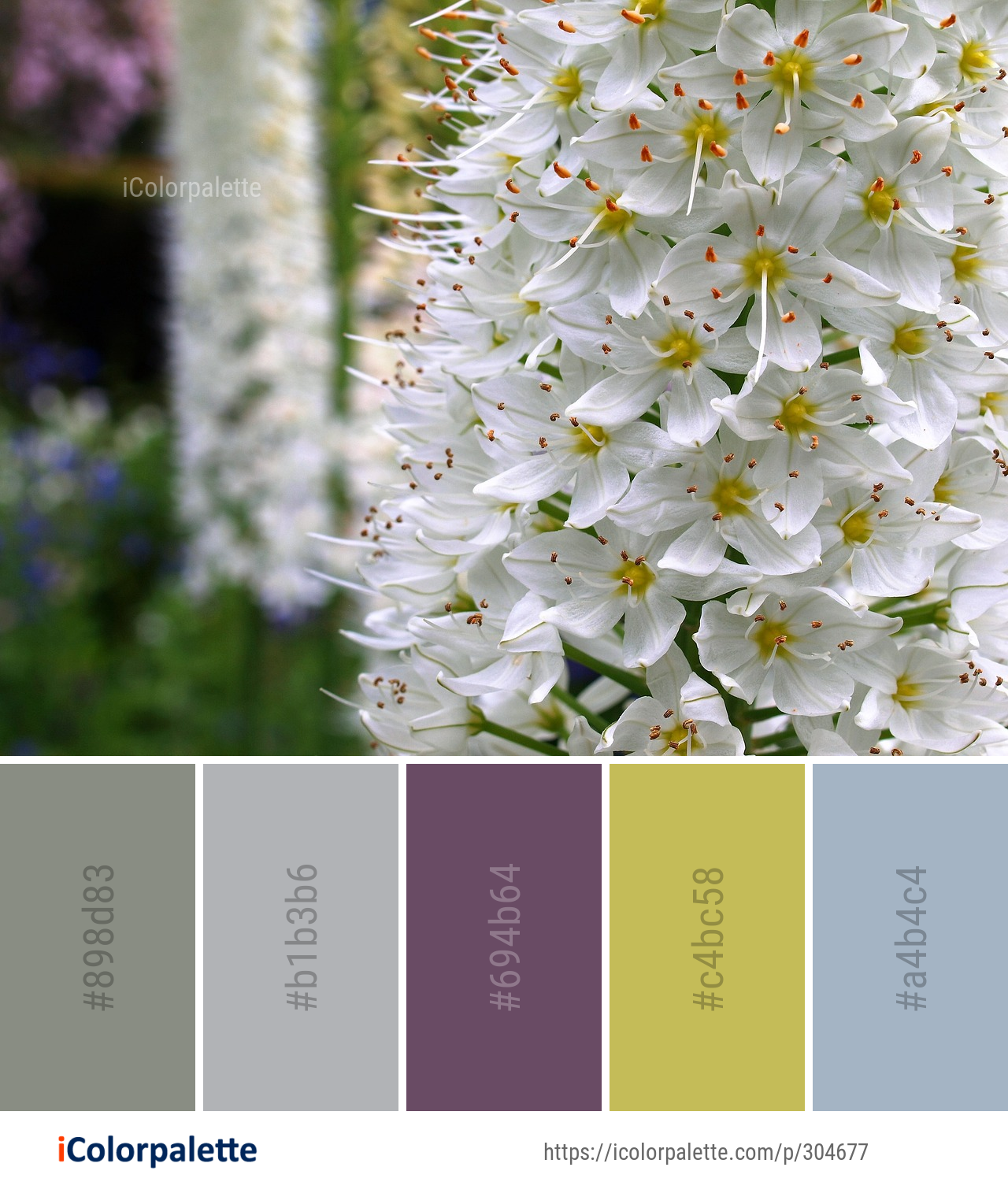 Color Palette Ideas from Flower White Flora Image | iColorpalette