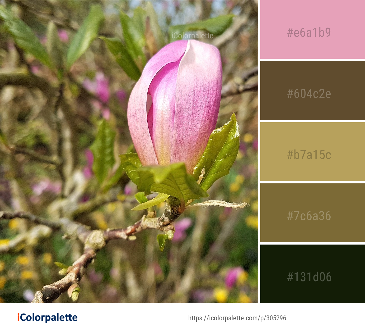 Color Palette Ideas from Flower Plant Flora Image | iColorpalette