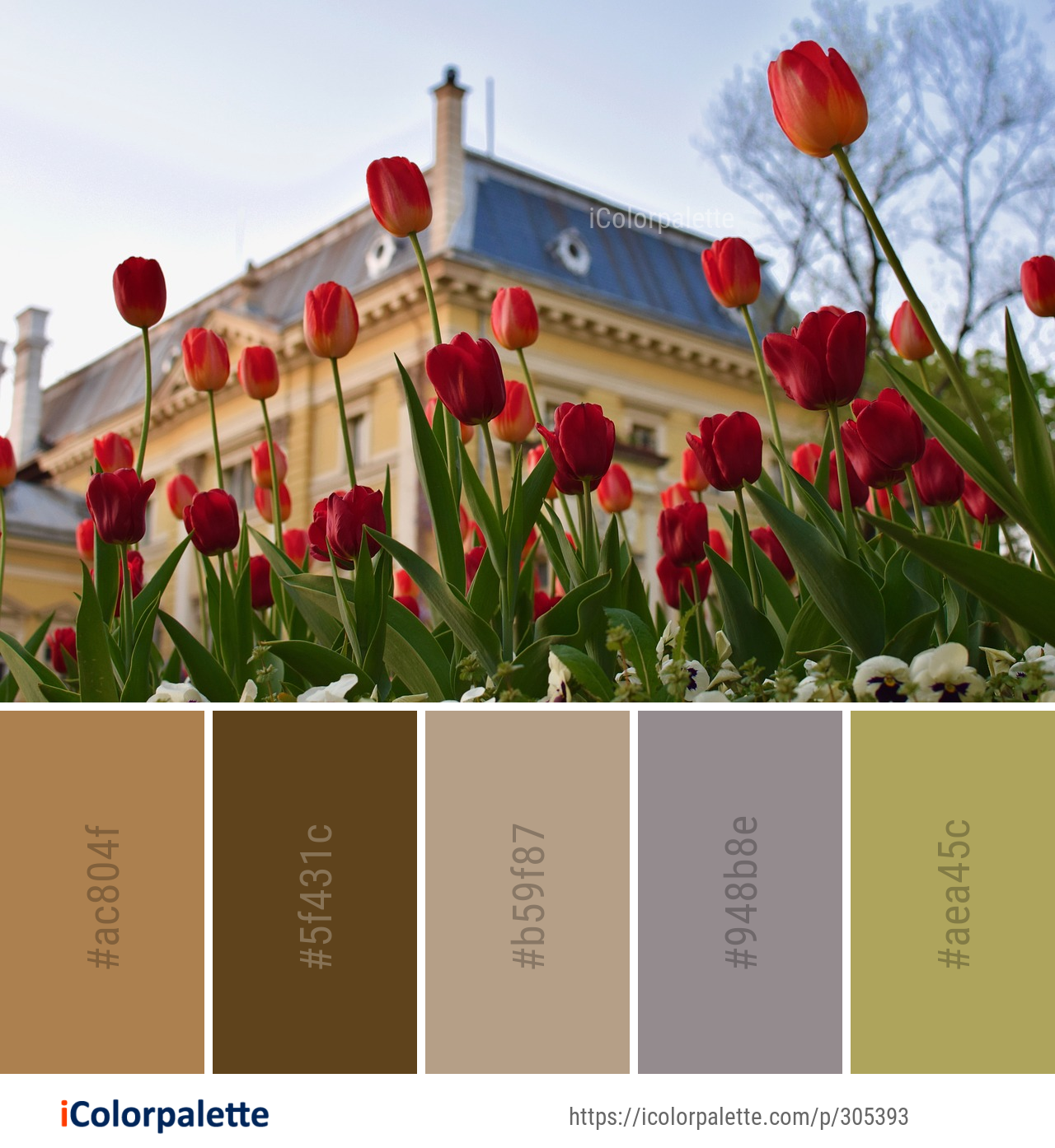 Color Palette Ideas from Flower Plant Red Image | iColorpalette