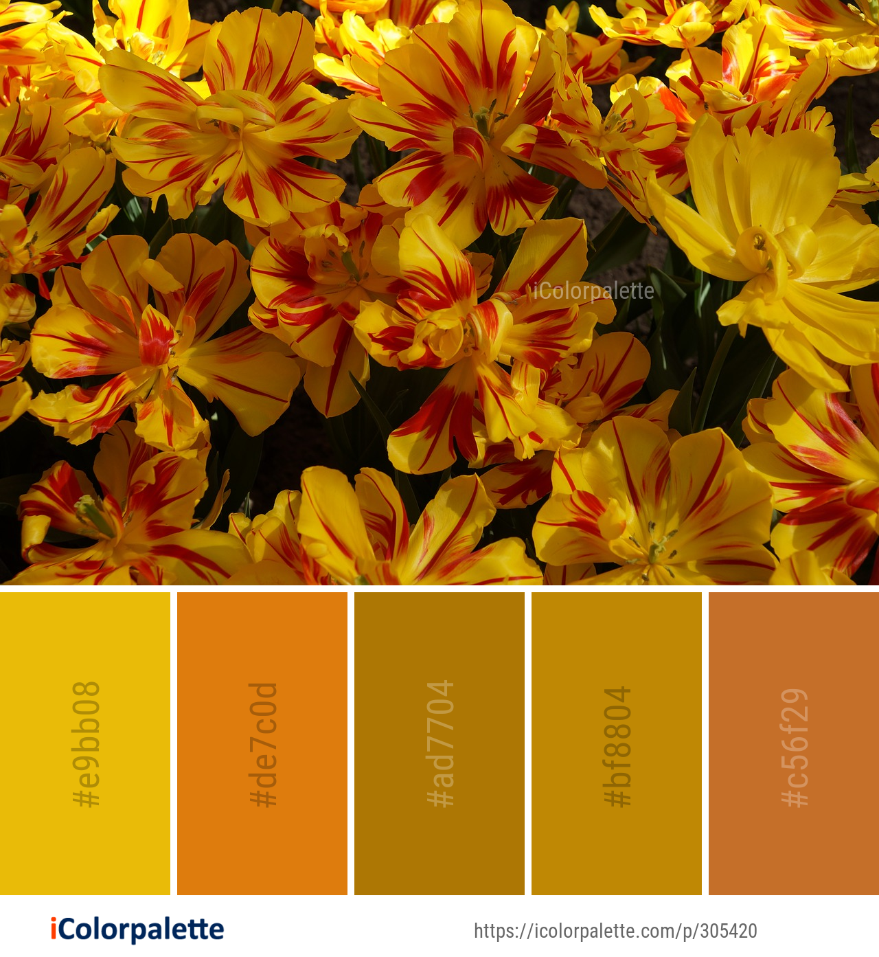 Color Palette Ideas from Flower Yellow Plant Image | iColorpalette