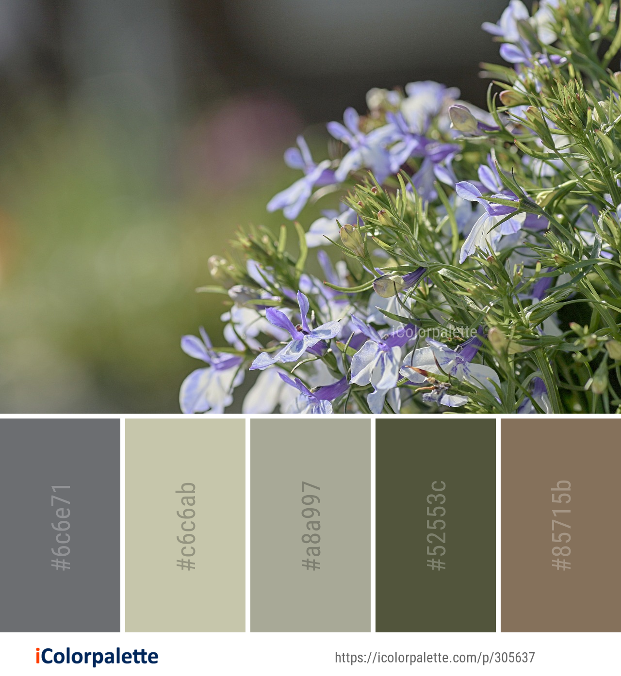 5 Rosemary Color Palette ideas in 2025 | iColorpalette