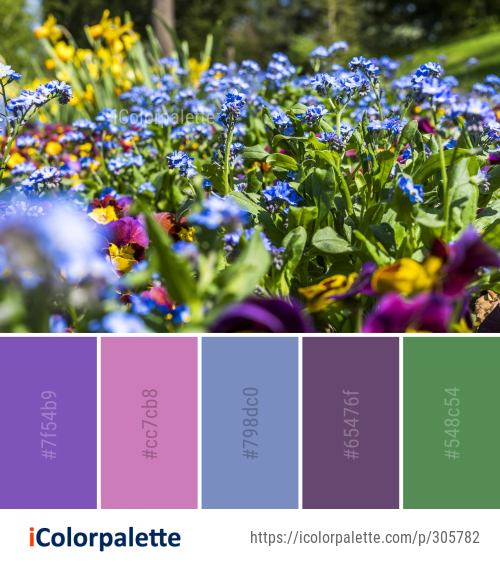 27+ Bluebonnet Color Palette ideas in 2025 | iColorPalette