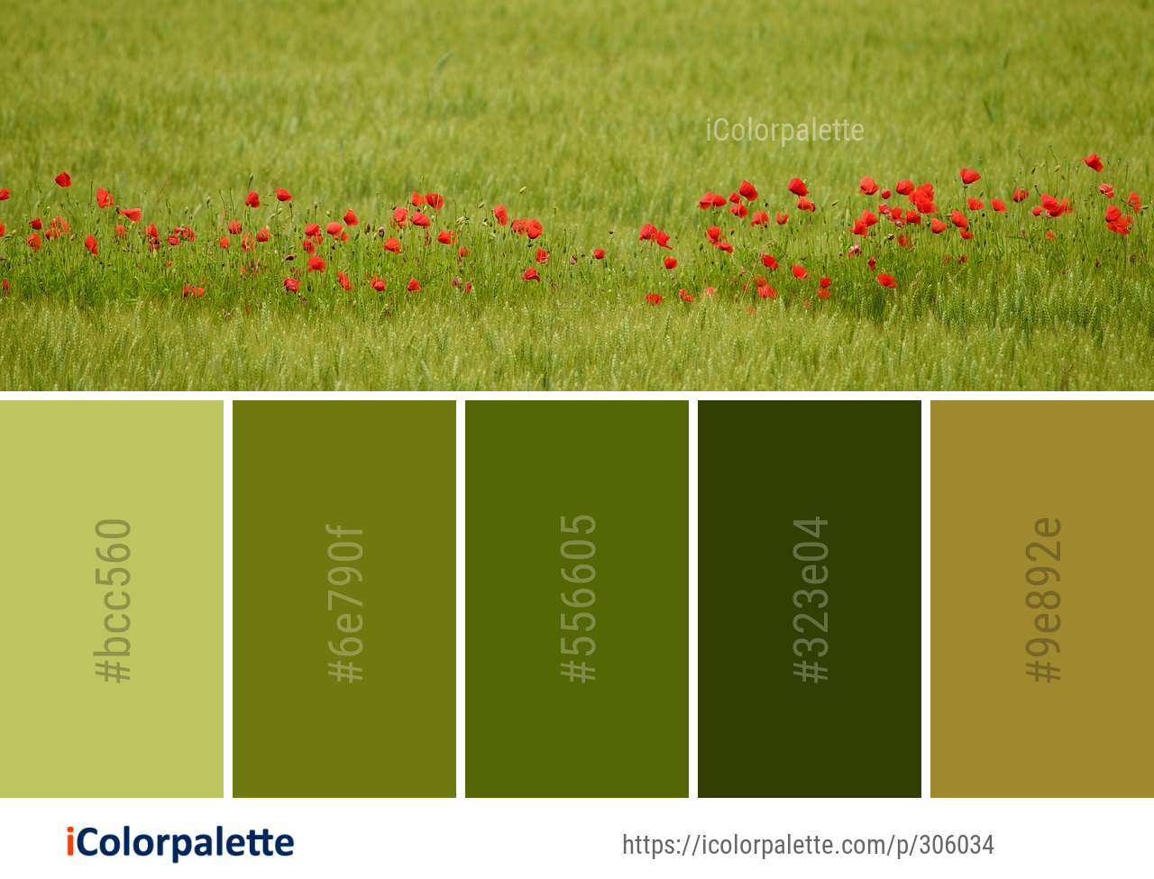 Color Palette Ideas from Field Ecosystem Meadow Image | iColorpalette