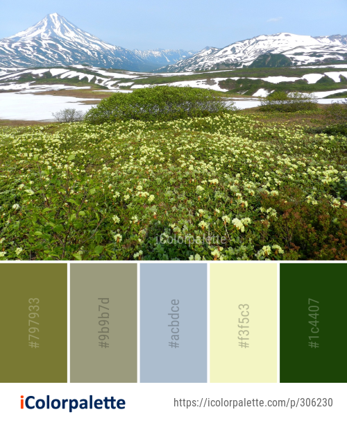 Color Palette Ideas from Vegetation Ecosystem Tundra Image | iColorpalette