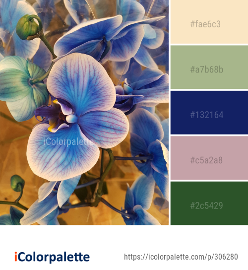 Color Palette Ideas from Flower Blue Flowering Plant Image | iColorpalette