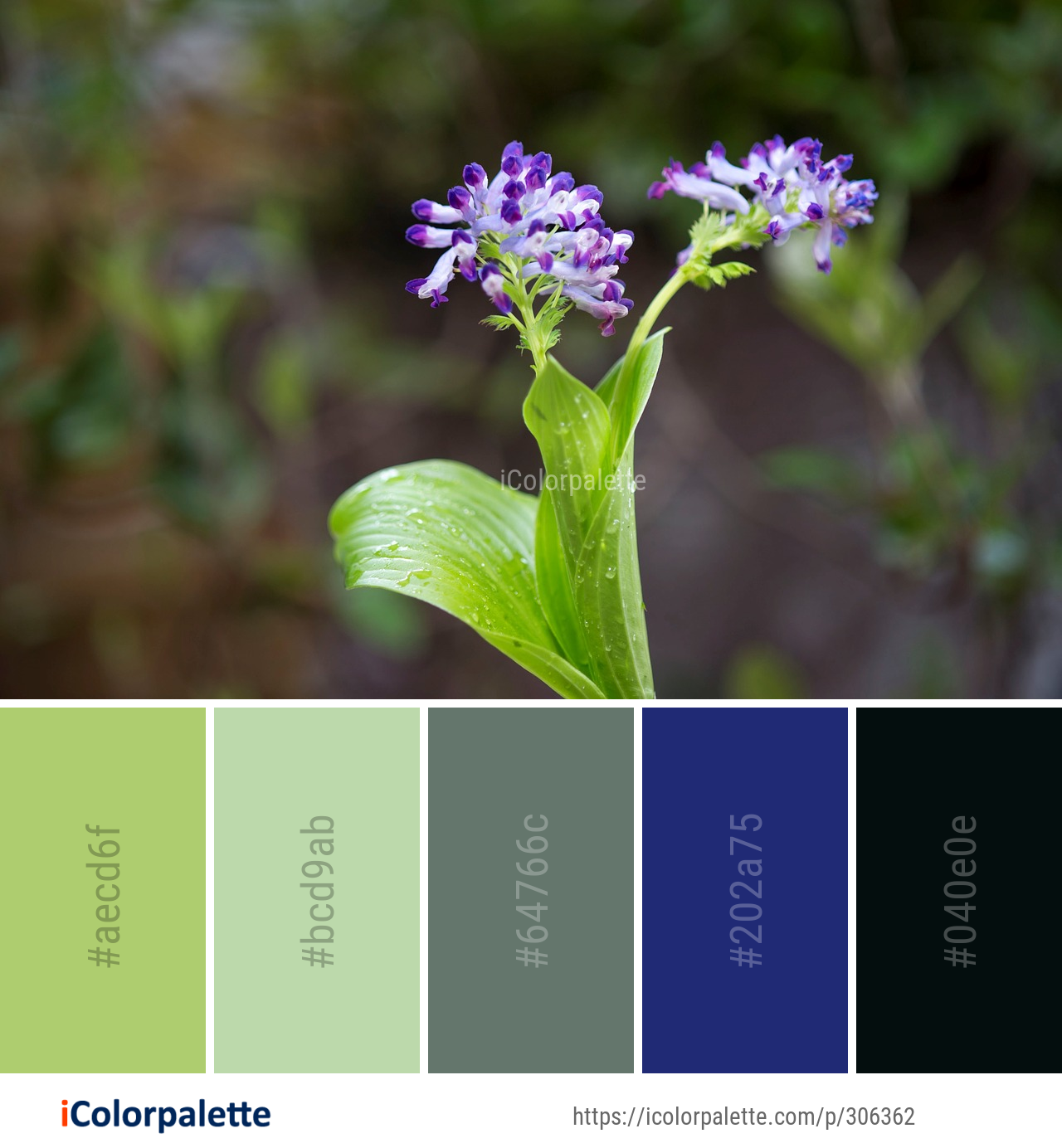 Color Palette Ideas from Flower Plant Flora Image | iColorpalette