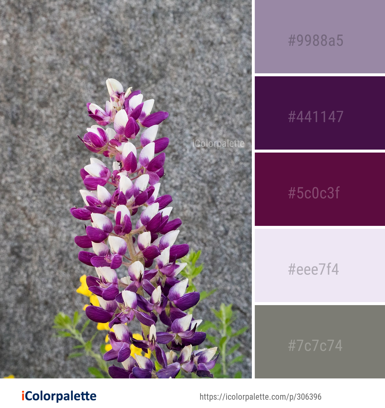 Color Palette Ideas from Flower Plant Flora Image | iColorpalette