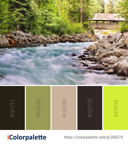 Color Palette Ideas from Water Nature River Image | iColorpalette