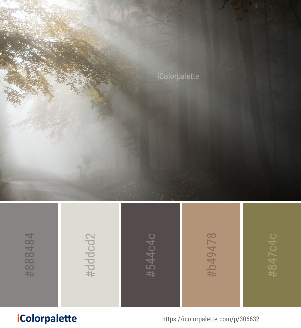 Color Palette Ideas from Fog Mist Atmosphere Image | iColorpalette