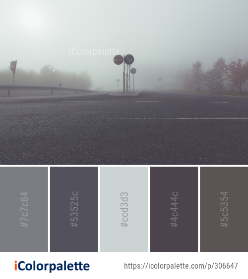 Color Palette Ideas from Fog Road Mist Image | iColorpalette