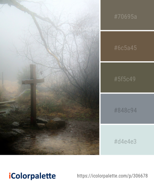 Color Palette Ideas from Fog Mist Tree Image | iColorpalette