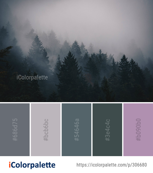 Color Palette Ideas from Fog Mist Sky Image | iColorpalette