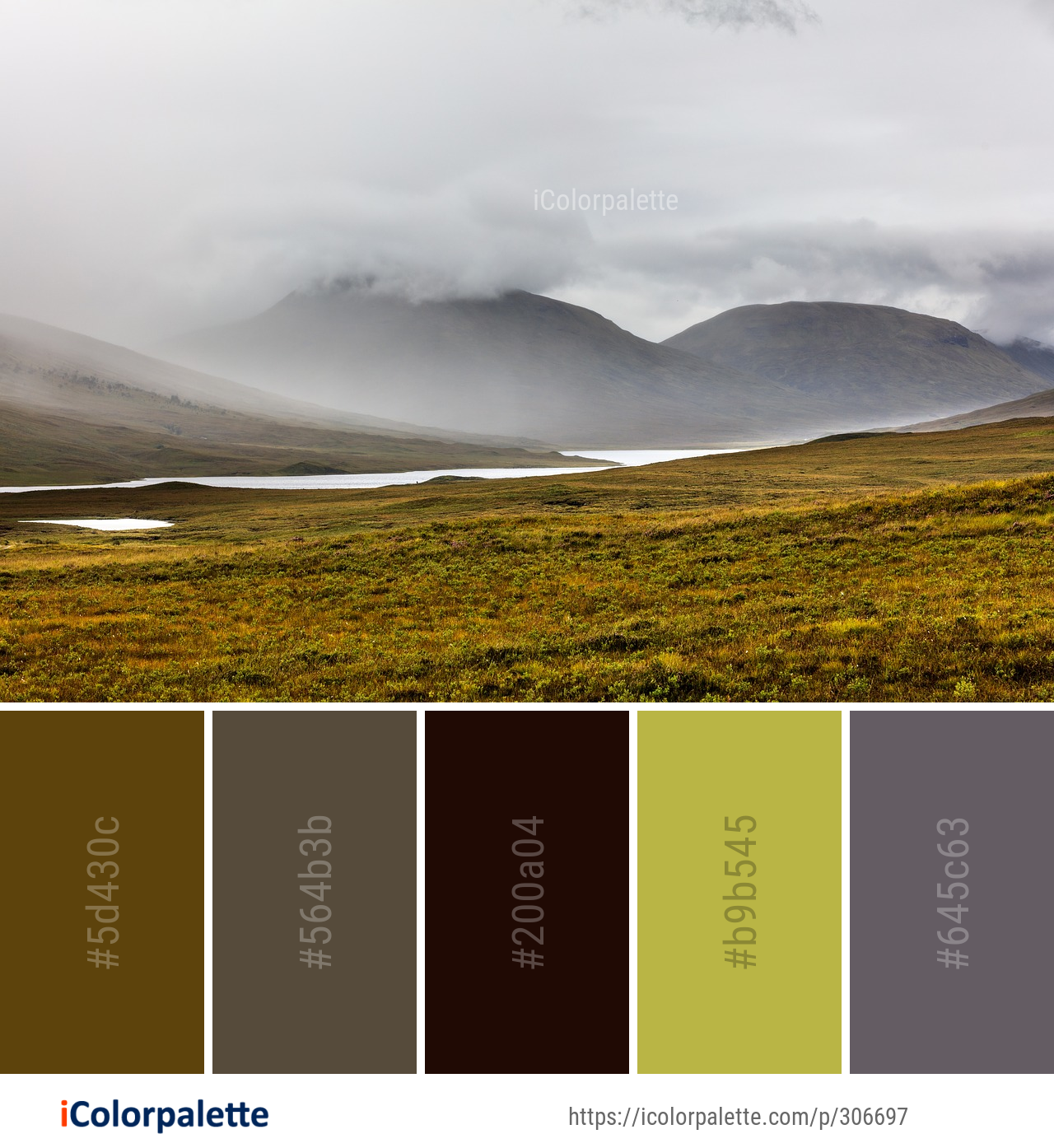 Color Palette Ideas from Highland Wilderness Tundra Image | iColorpalette