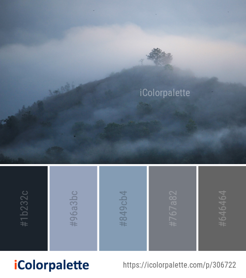 Color Palette Ideas from Mist Fog Sky Image | iColorpalette