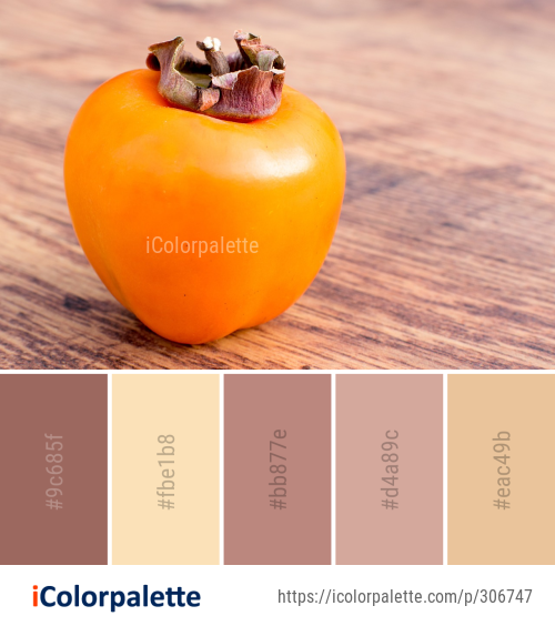 Color Palette Ideas from Fruit Diospyros Persimmon Image | iColorPalette