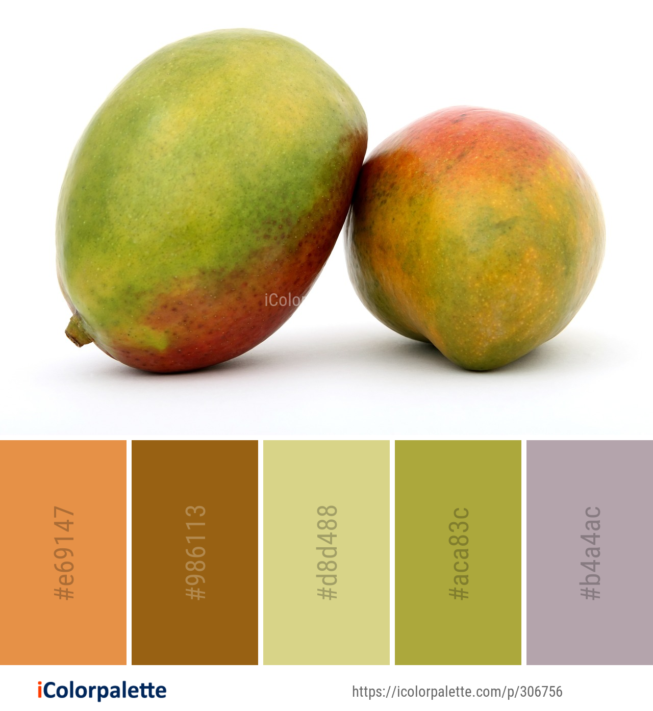 Color Palette Ideas from Fruit Produce Natural Foods Image | iColorpalette