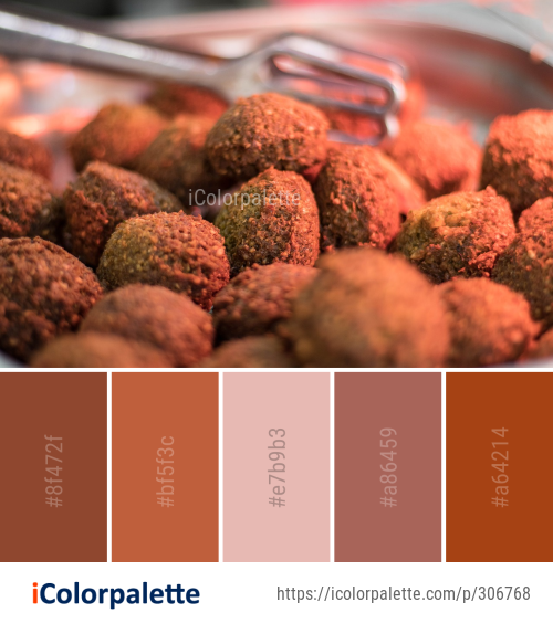 Color Palette Ideas from Falafel Meatball Vegetarian Food Image ...